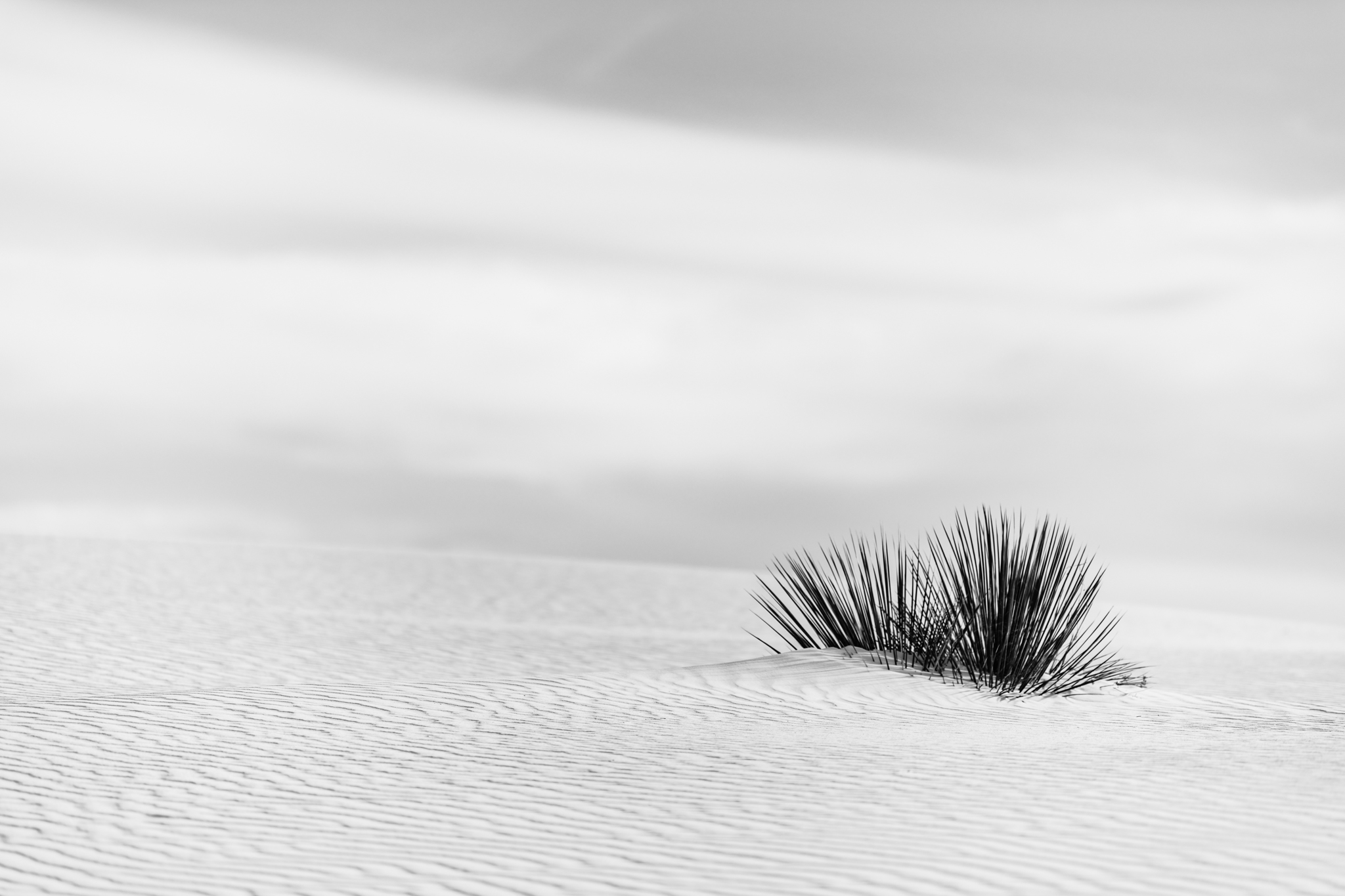 New Photography Offerings: San Diego landscape & boudoir - kimbelverud.com